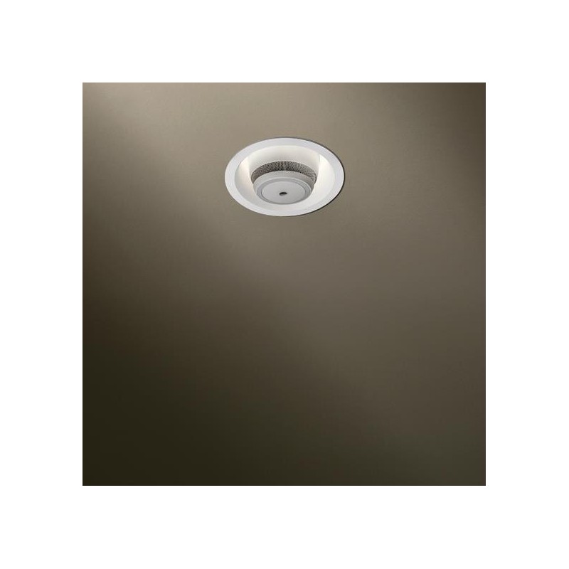 Buy TAL ORBITAL LEAF SMOKE recessed spot online with professional support.