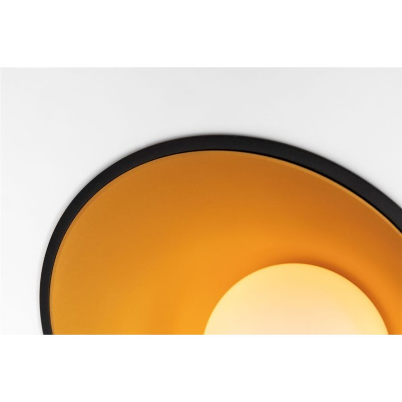 Buy Modular Shellby skin online with professional support.