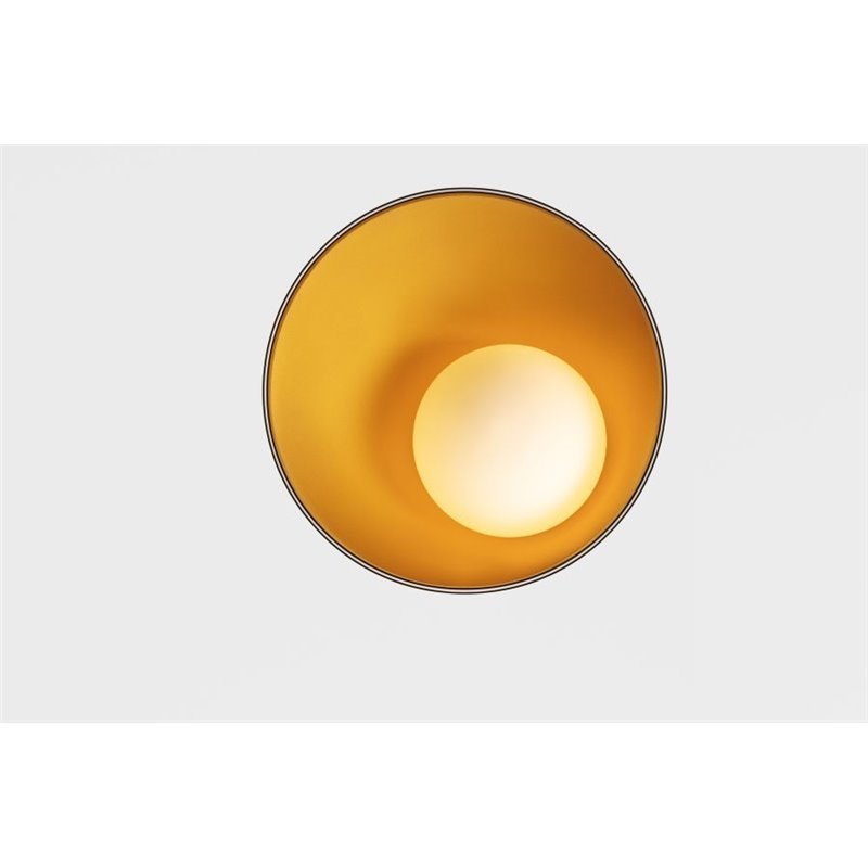 Buy Modular Shellby skin online with professional support.